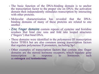 Regulation of Transcription in Eukaryotes | PPTX | Biological Sciences ...