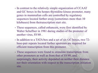 Regulation of Transcription in Eukaryotes | PPTX | Biological Sciences ...