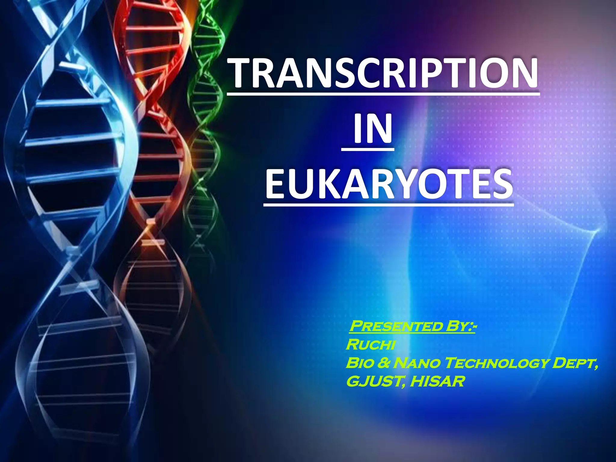 Transcription in Eukaryotes | PDF