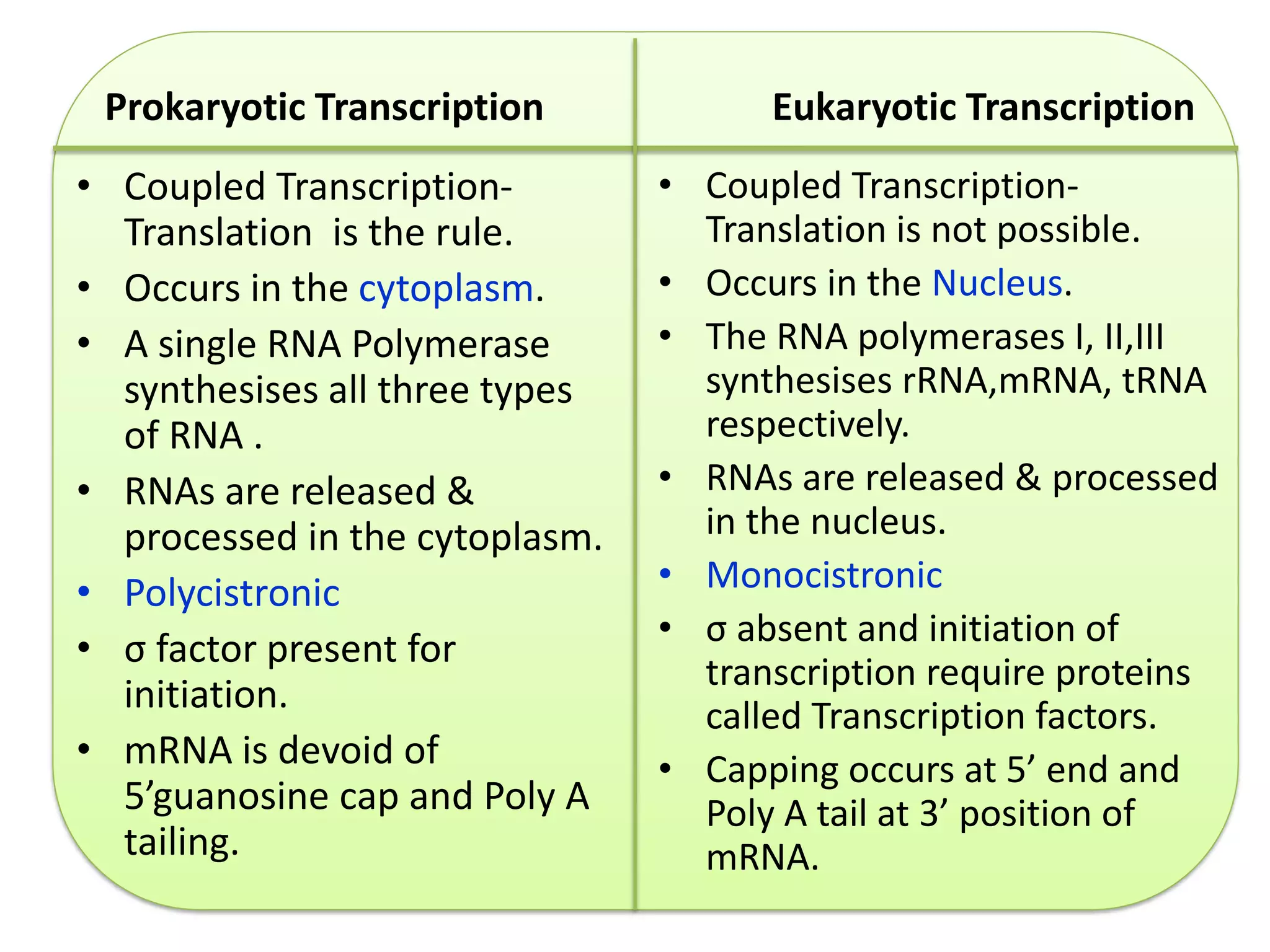 Transcription in Eukaryotes | PDF