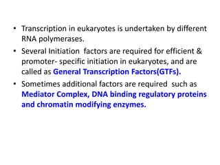 Transcription in Eukaryotes | PDF
