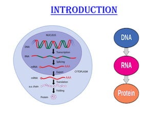 Simple Transcription Diagram