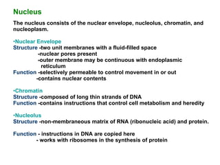 Eukariotic Cell Structure | PPT