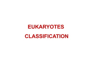 Eukarotes Classification .pptx microbiology | PPT