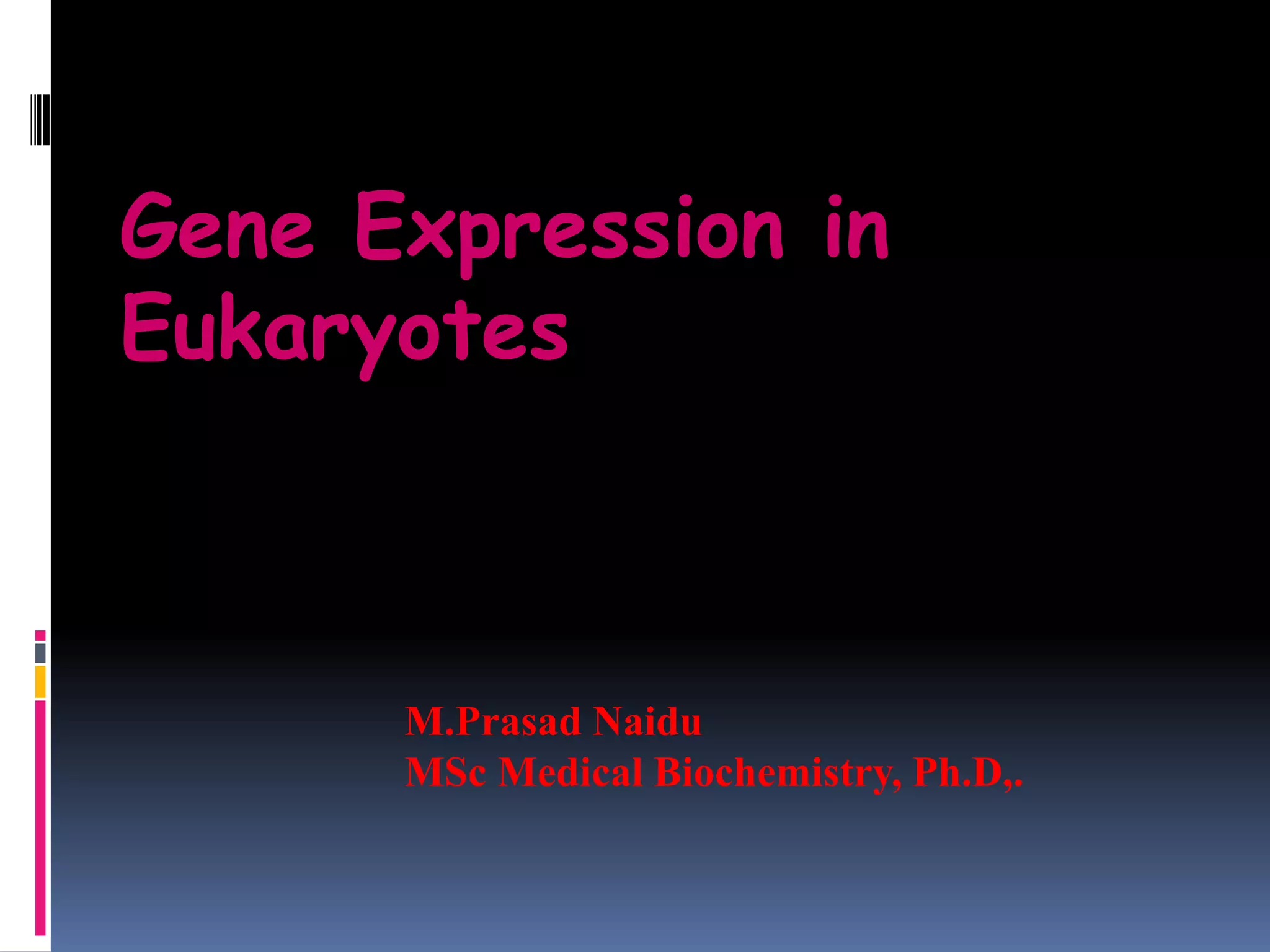 Gene Expression in Eukaryotes | PPT