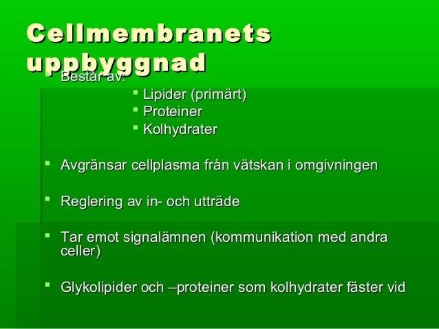 Eukaryota cellens byggnad och funktion