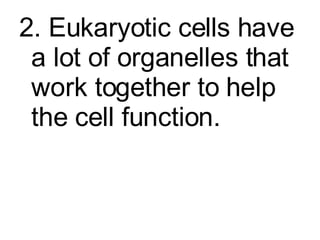 Eukaryotes | PPT