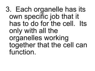 Eukaryotes | PPT