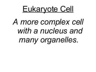 Eukaryotes | PPT
