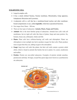 Eukaryotic Cells Examples