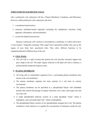 Eukaryotic cell | PDF