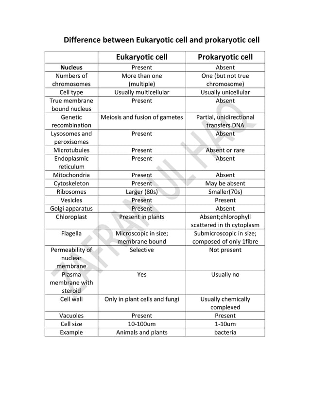 Difference between Eukaryotic and prokaryotic cell | PDF | Biological Sciences | Science
