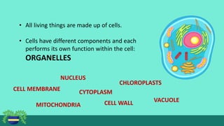 Eukaryotes_Organelles.pptx