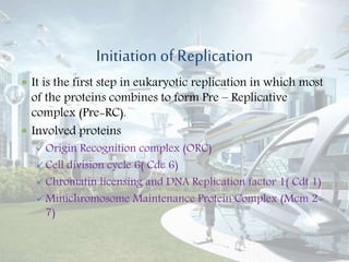 Eukaryotes replication | PPTX