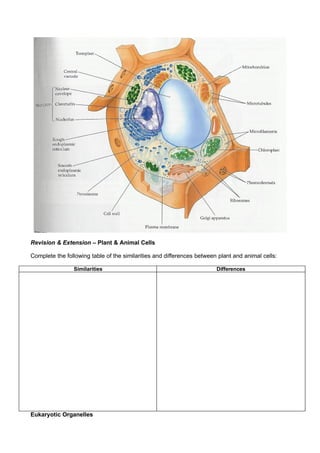 Eukaryotic Cells Workbook | DOC