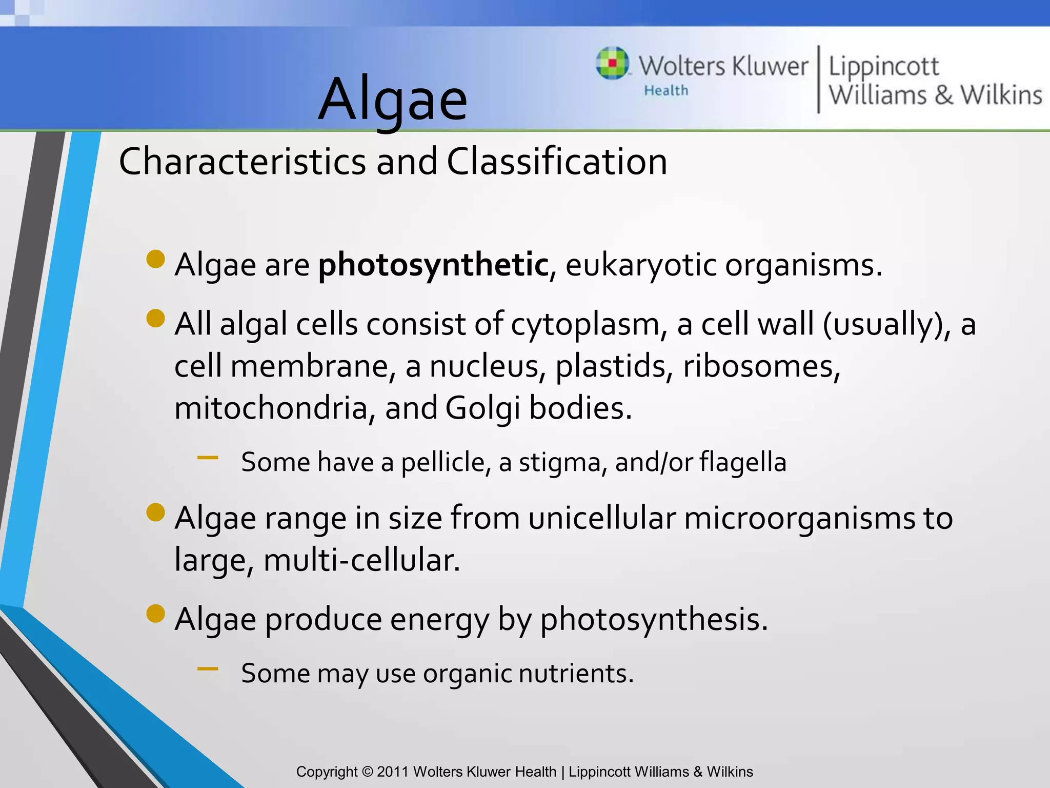 EUKARYOTIC-MICROBES.pptx