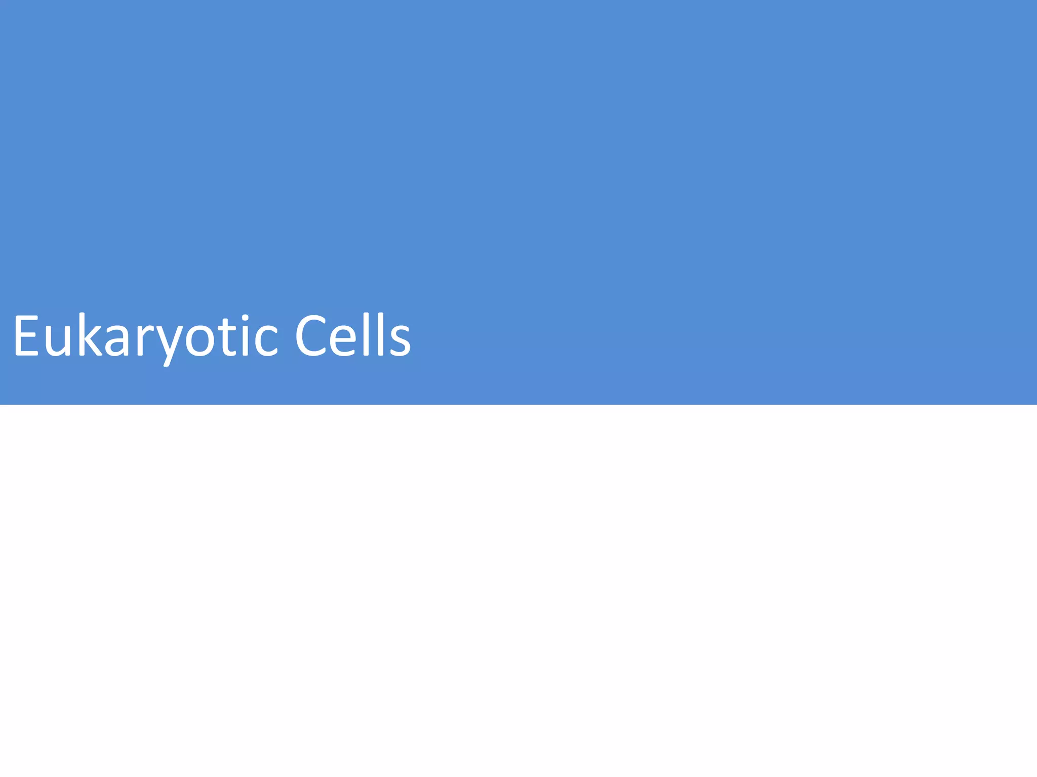 Eukaryotic and Prokaryotic cells | PPTX