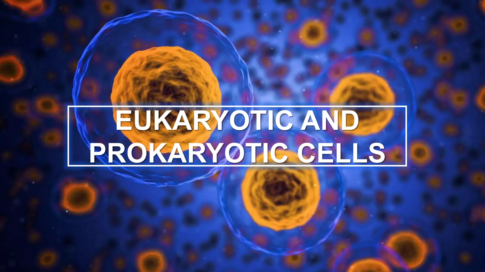 A brief Introduction to Organelles Present In The Eukaryotes ...