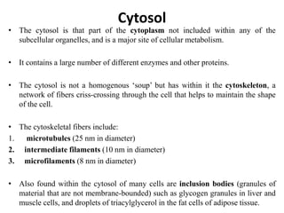 Eukaryotic cell | PPT