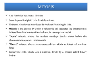 The cell cycle | PPT