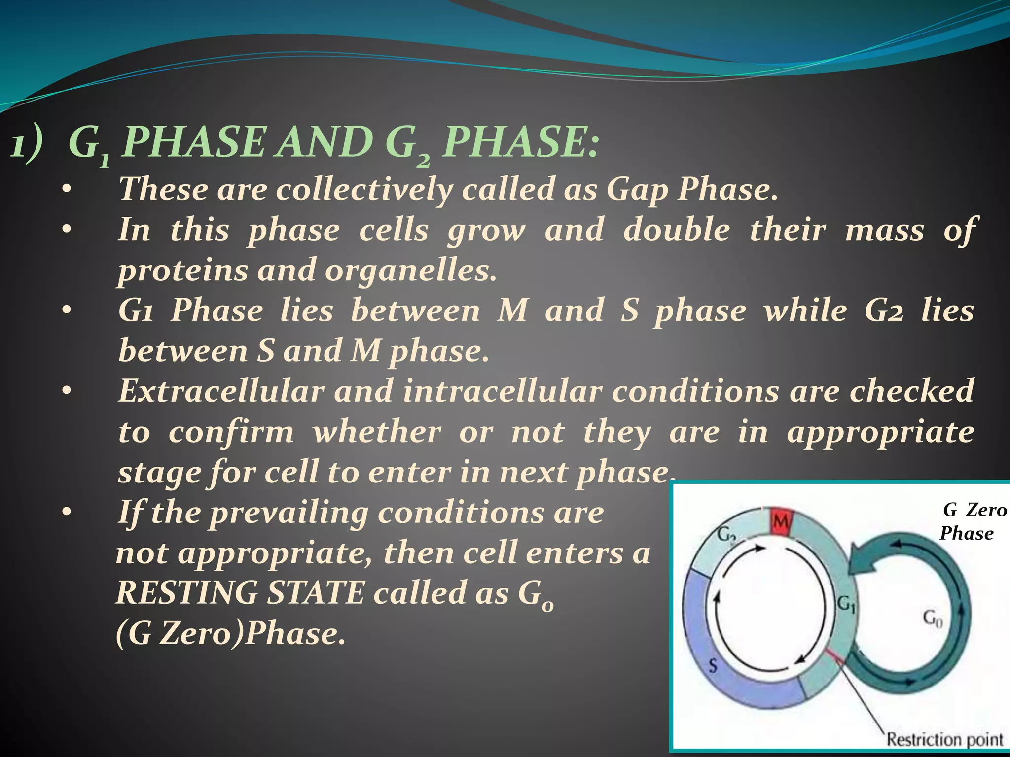 Eukaryotic cell cycle | PPTX