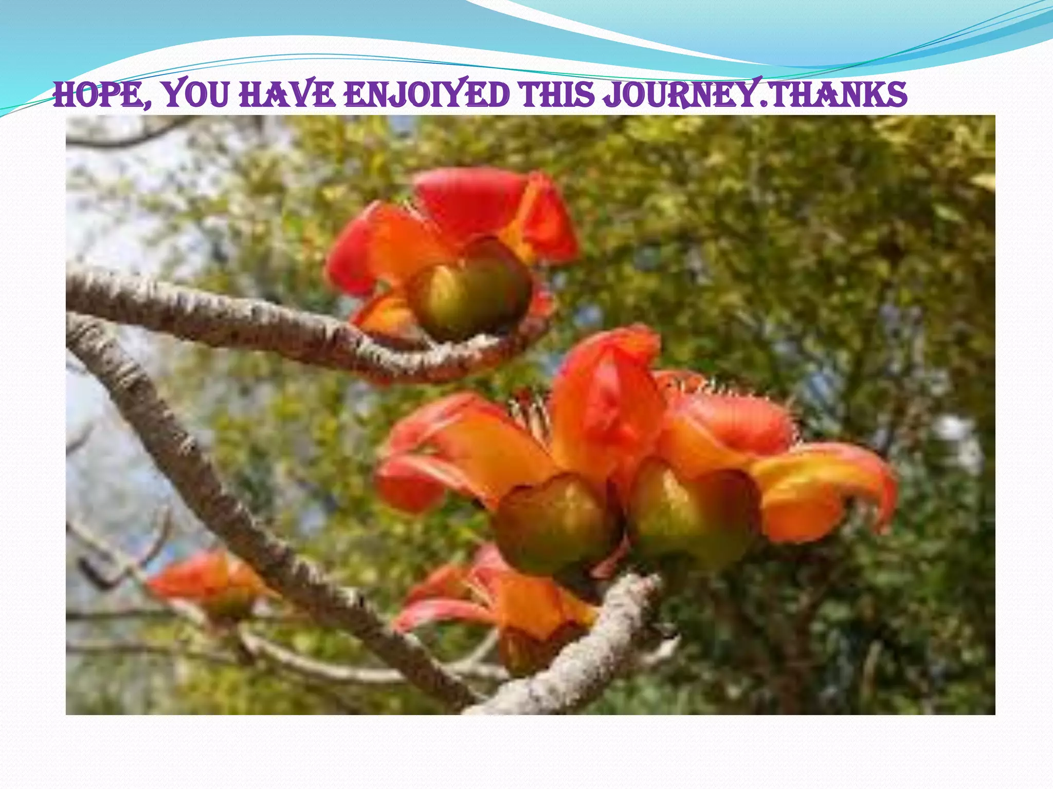 Eukaryotic cell cycle converted | PPT