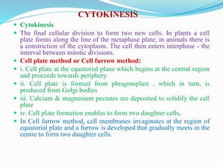 Eukaryotic cell cycle converted | PPT