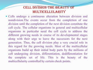 Eukaryotic cell cycle converted | PPT