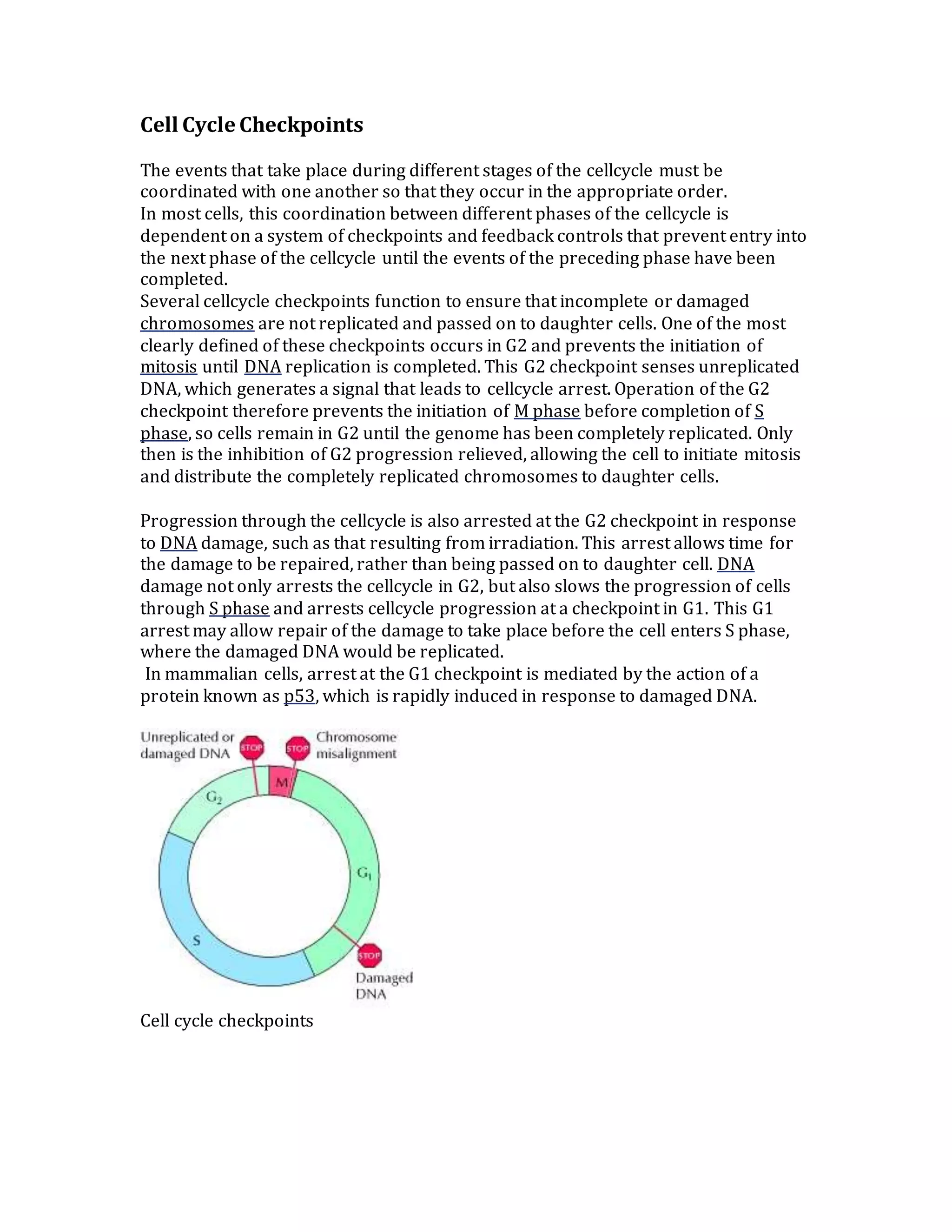 Eukaryotic cell division cycle | PDF