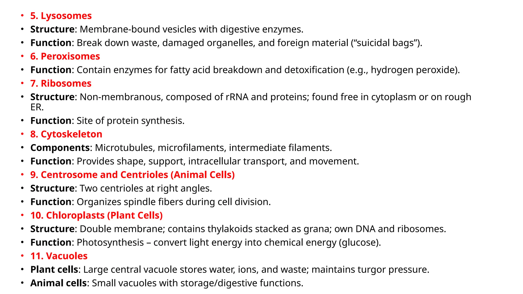 Eukaryotic cell organization brief idea of structure and function of ...