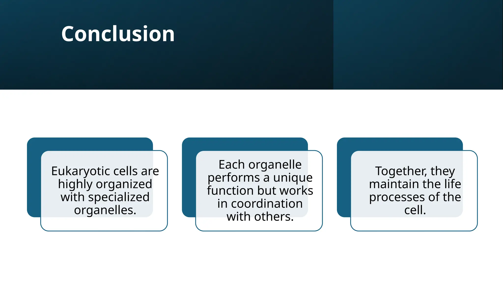 Eukaryotic cell organization brief idea of structure and function of main cell organelles.pptx
