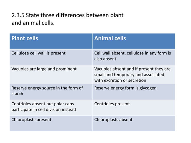 Eukaryotic cells | PPTX | Biological Sciences | Science