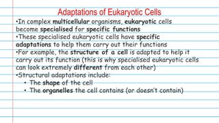 Eukaryotic Cells.pptx