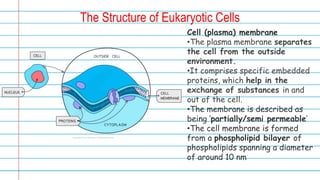 Eukaryotic Cells.pptx