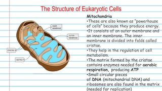 Eukaryotic Cells.pptx