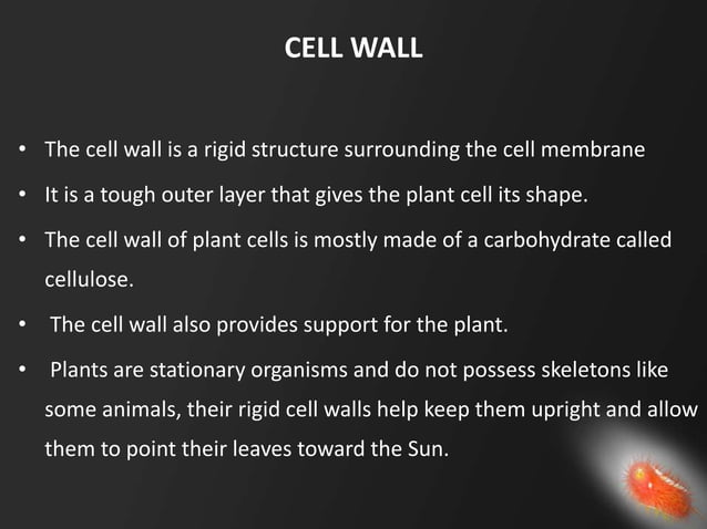 EUKARYOTIC CELLS PPT BT I.pptx