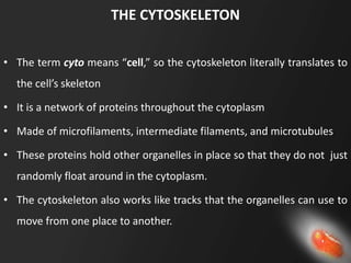 EUKARYOTIC CELLS PPT BT I.pptx