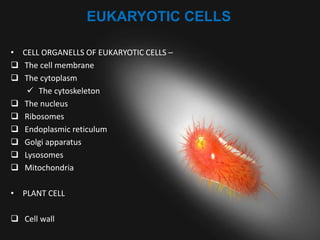 EUKARYOTIC CELLS PPT BT I.pptx