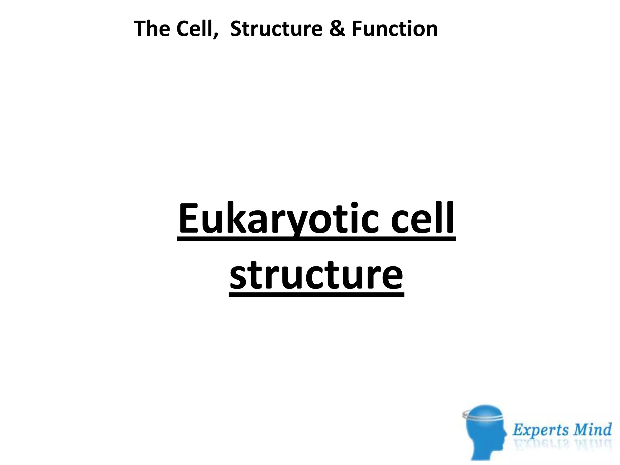 Eukaryotic cell structure | PPTX