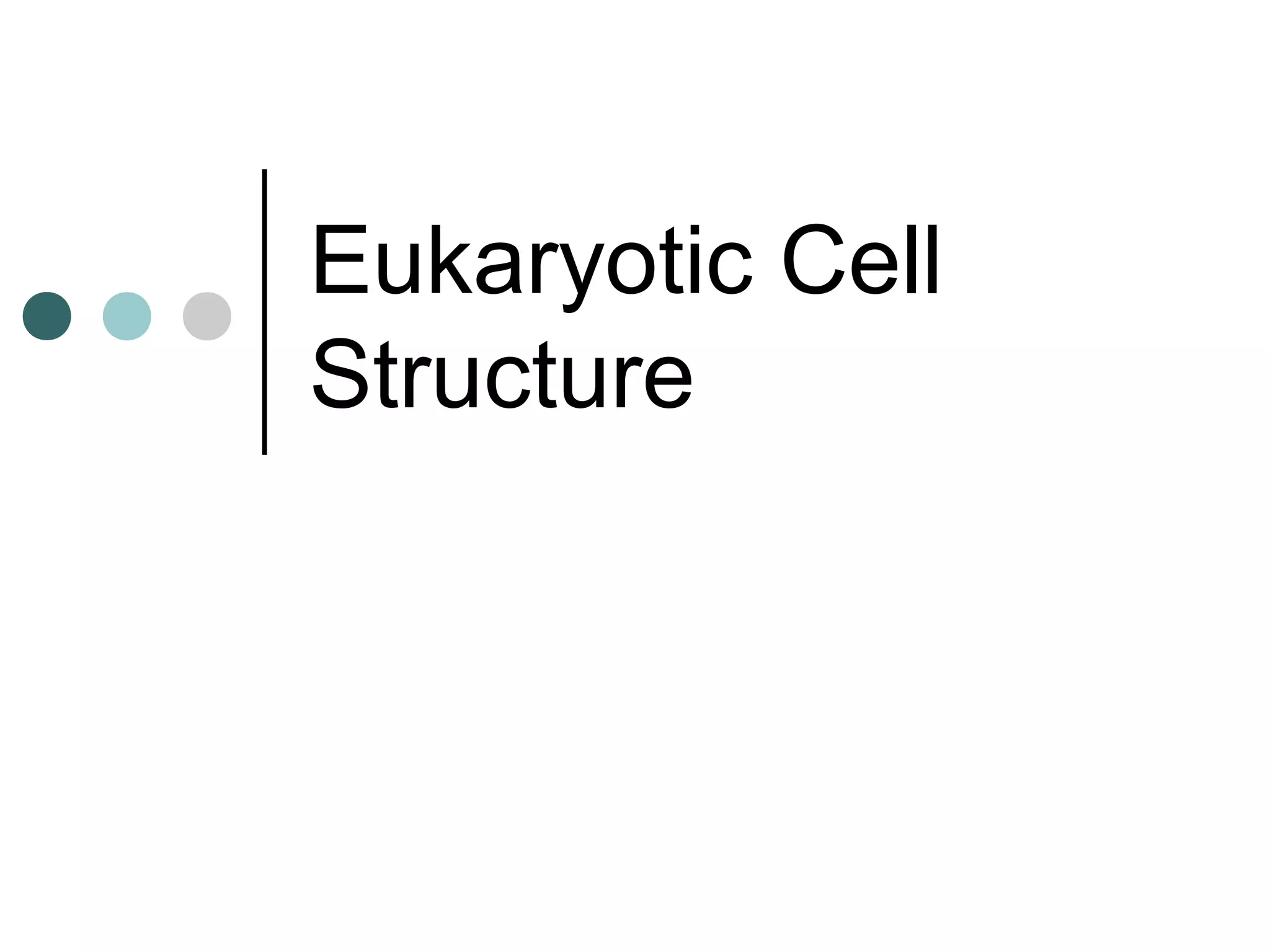 Eukaryotic cell structure | PPT