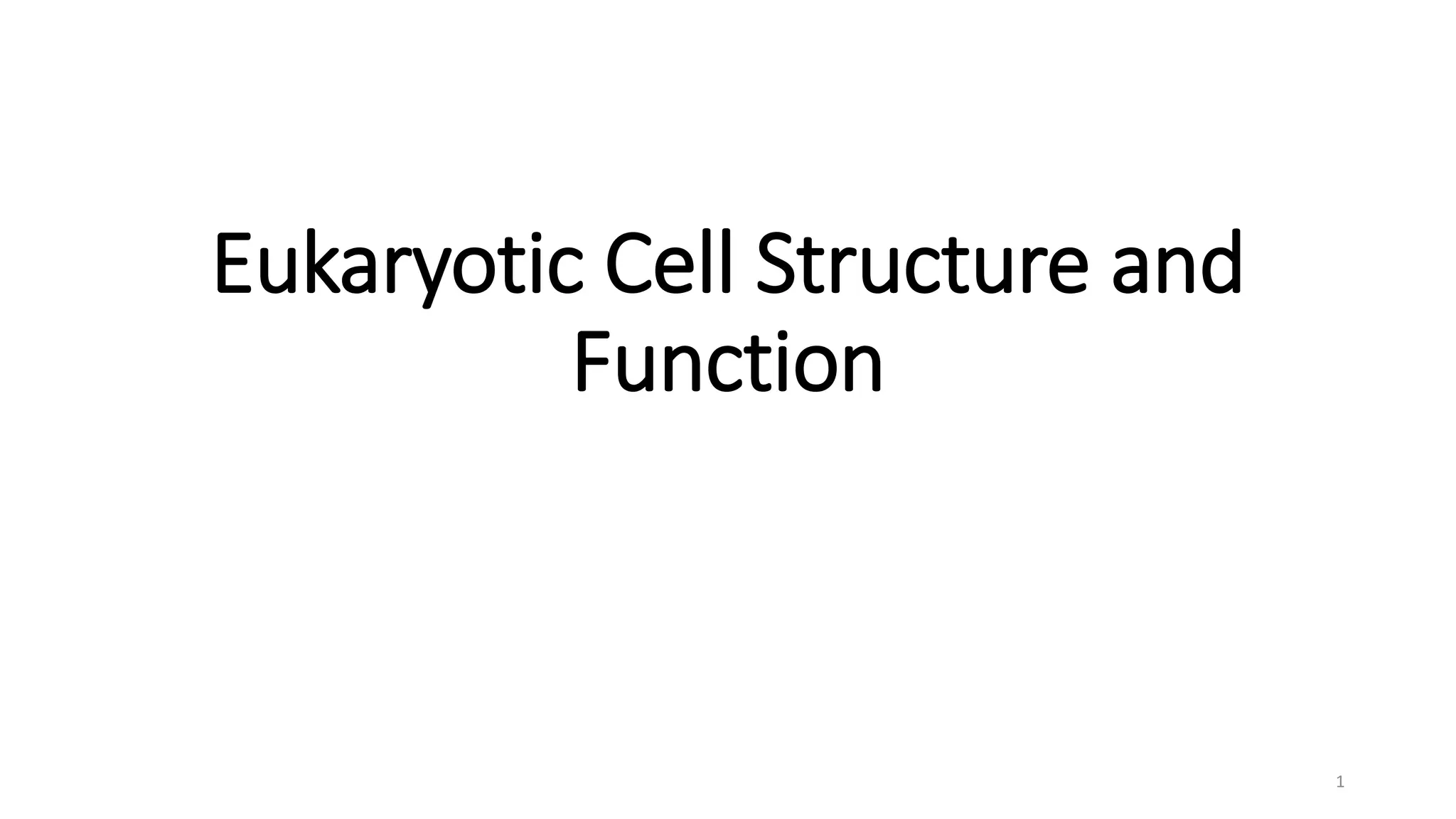 Eukaryotic Cell Structure and Function.pptx