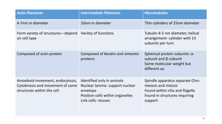 Eukaryotic Cell Structure and Function.pptx