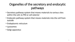 Eukaryotic Cell Structure and Function.pptx