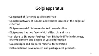 Eukaryotic Cell Structure and Function.pptx