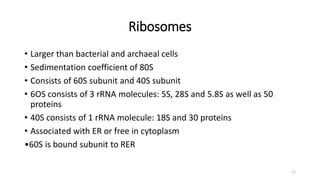 Eukaryotic Cell Structure and Function.pptx
