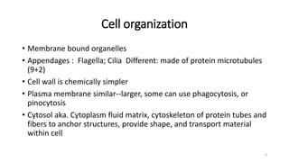 Eukaryotic Cell Structure and Function.pptx