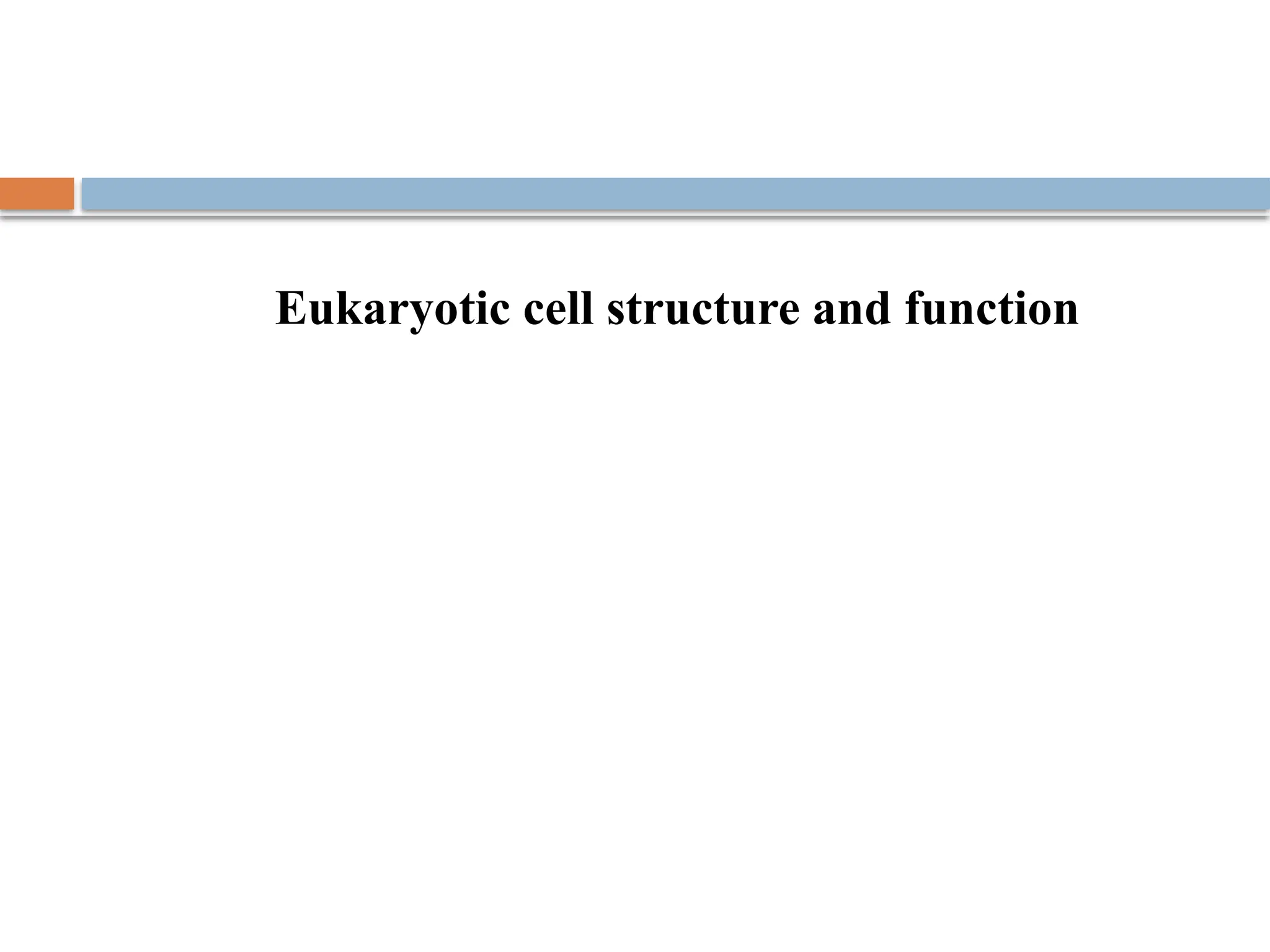 Eukaryotic cell structure and function.pptx