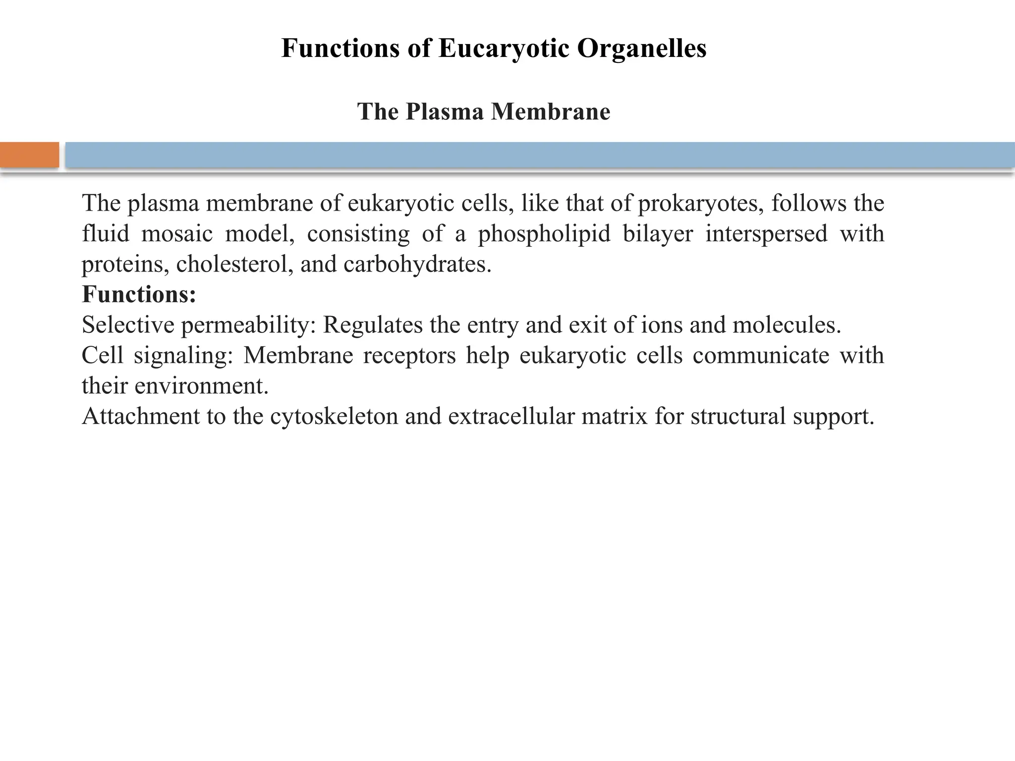 Eukaryotic cell structure and function.pptx