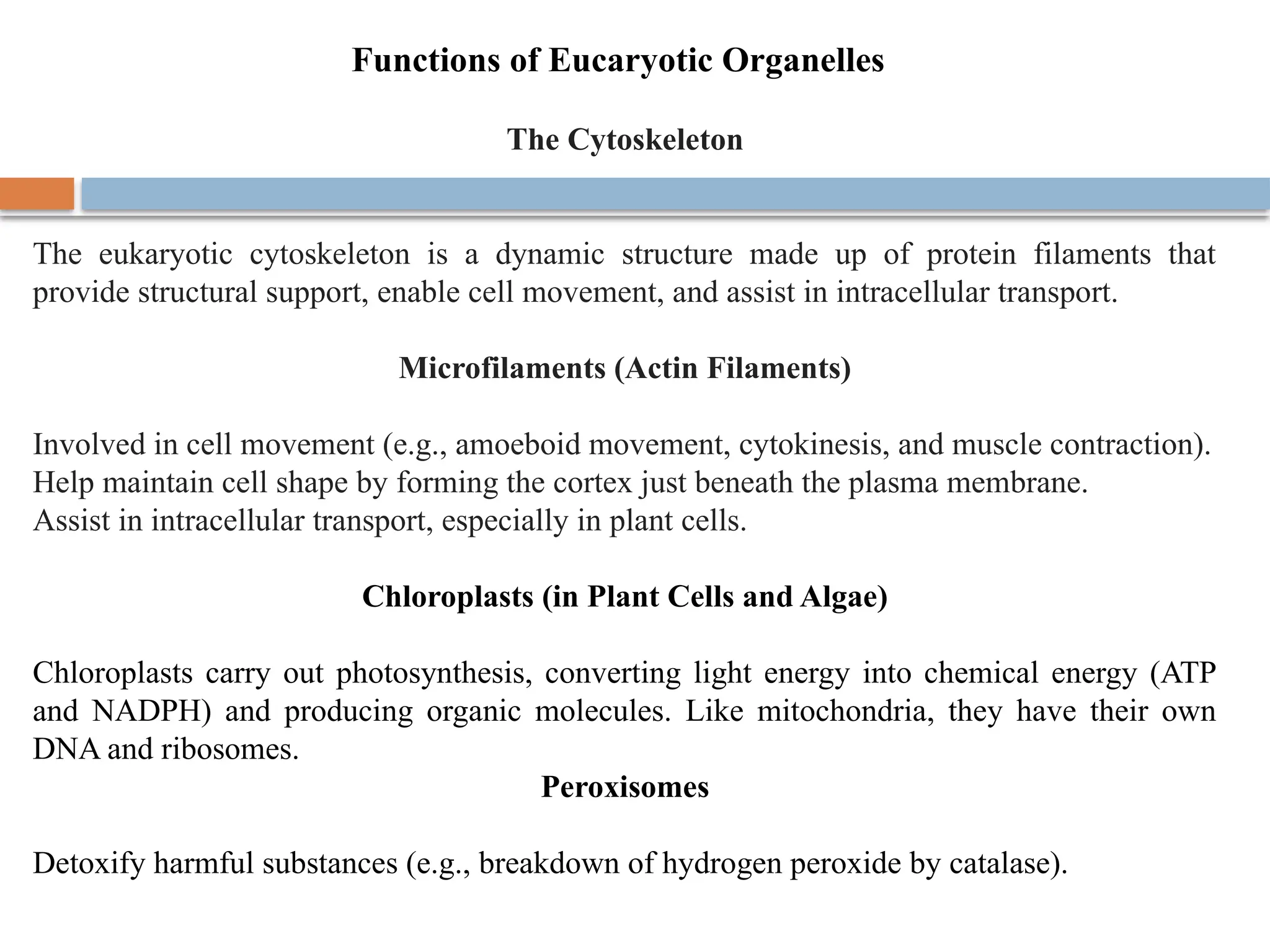 Eukaryotic cell structure and function.pptx