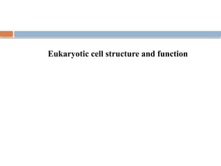 Eukaryotic cell structure and function.pptx
